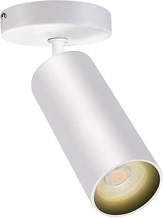 FADFAWN Dimmable Adjustable Spotlight Flush Mount LED Ceiling Spotlight ...