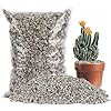 Amazon.com : Sukh Horticultural Pumice Stone - Pumice Stone for Plants ...