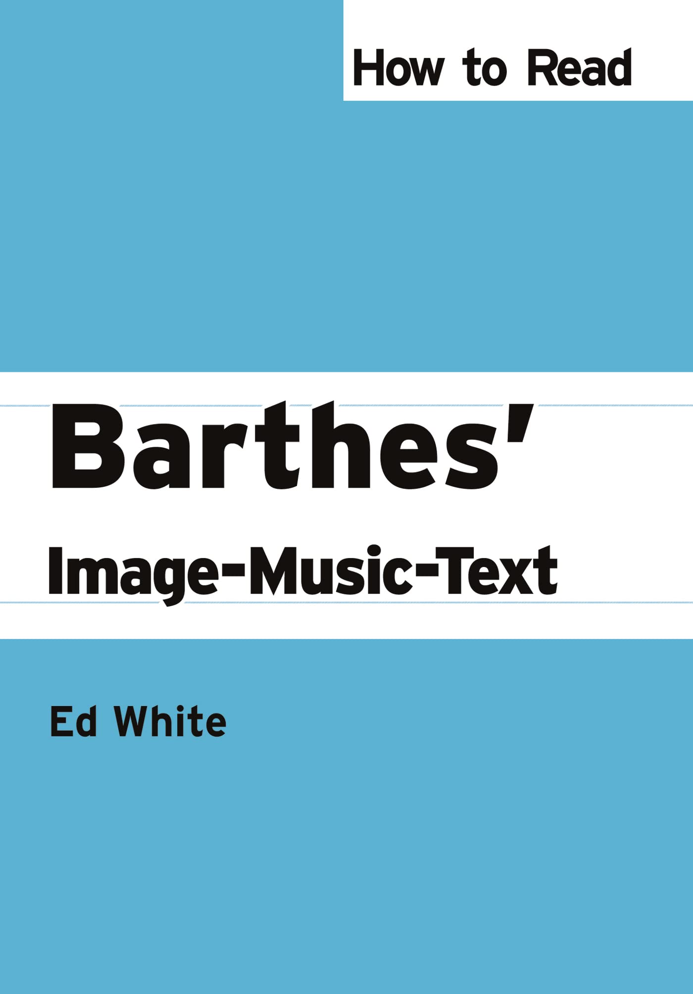 Amazon.com: How to Read Barthes' Image-Music-Text (How to Read Theory ...