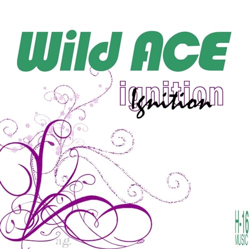Amazon.com: Ignition : Wild Ace: Digital Music