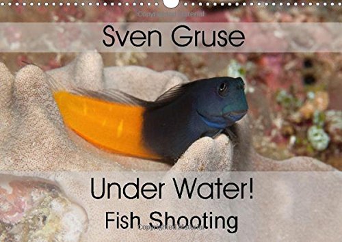 Sven Gruse Under Water! Fish Shooting 2015: Enjoy the impressive ...