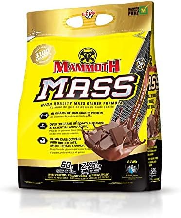 MAMMOTH MASS: Weight Gainer, High Calorie Protein Powder Workout ...