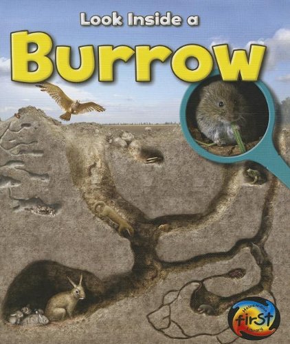 Burrow: Look Inside: Spilsbury, Richard: 9781432971939: Amazon.com: Books