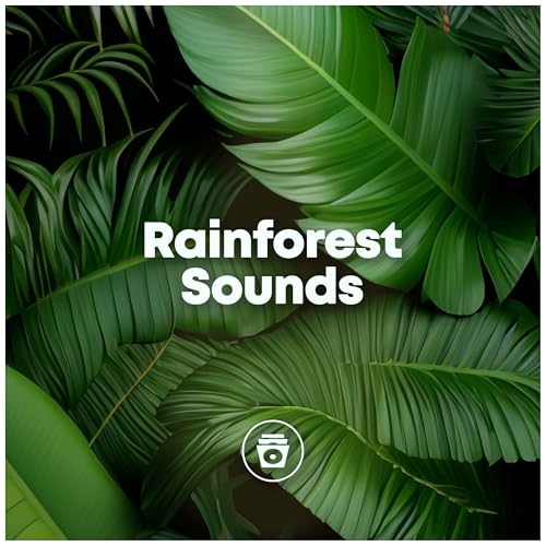 Rainforest Sounds by Natural Sounds on Amazon Prime Music