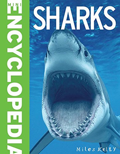 Mini Encyclopedia Sharks: Amazon.co.uk: Anna Claybourne: 9781782097914 ...