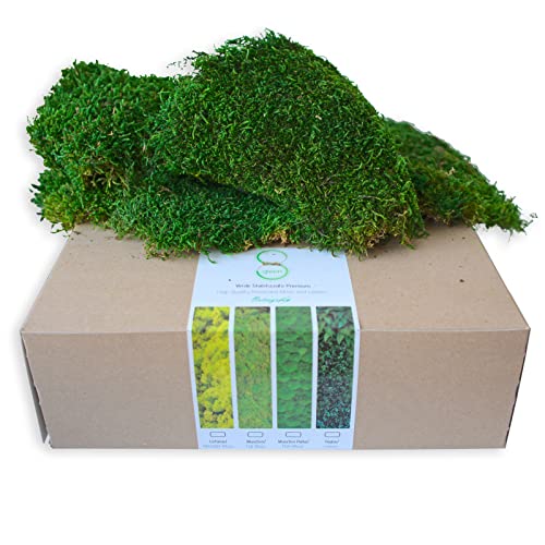 Mousse stabilisee : le classement des meilleurs de juillet 2025 - Zabeo