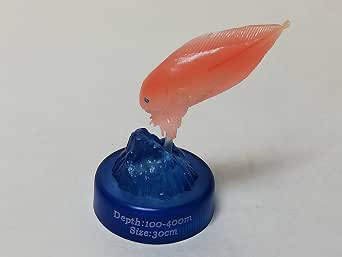 Amazon.co.jp: Zaravikunin Daido MIU Deep Sea Creatures Kaiyodo Candy ...