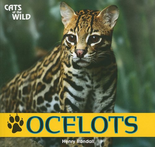 Amazon | Ocelots (Cats of the Wild) | Randall, Henry | Lions, Tigers ...
