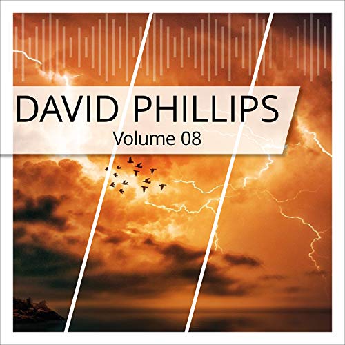 Amazon.com: David Phillips, Vol. 8 : David Phillips: Digital Music