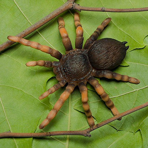해외직구전문 쇼핑365 CollectA Insects Mexican Redknee Tarantula Toy Figure ...