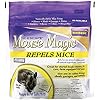 Amazon.com: Bonide Mouse Magic Mouse Repellent Scent Packs, 4 Ready-to ...