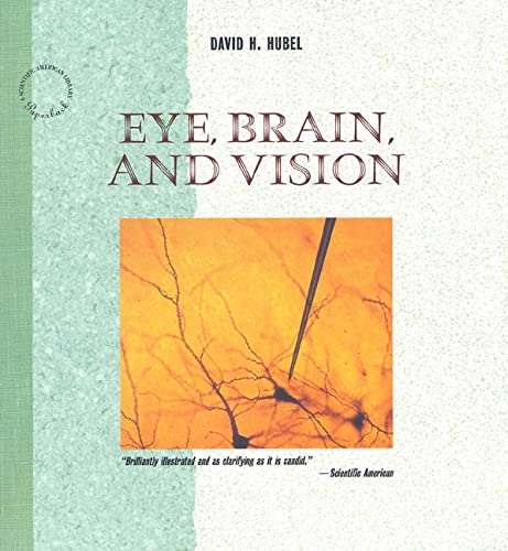Amazon | Eye, Brain, and Vision (Scientific American Library) | Hubel ...