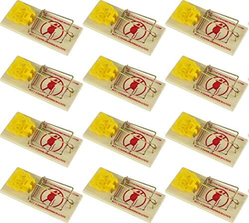 Amazon.com : Wooden Snap Mouse Trap – Spring Action with Expanded ...