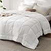 Amazon.com: Bedsure Queen Comforter - Comforters Queen Size for All ...