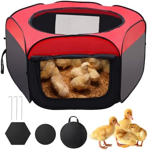 Amazon.com : Foldable Brooder Box for Chick,Chick Fence Portable Dog ...