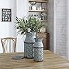 Barnyard Designs Rustic Galvanized Milk Can Jug, Nested Milk Cans ...