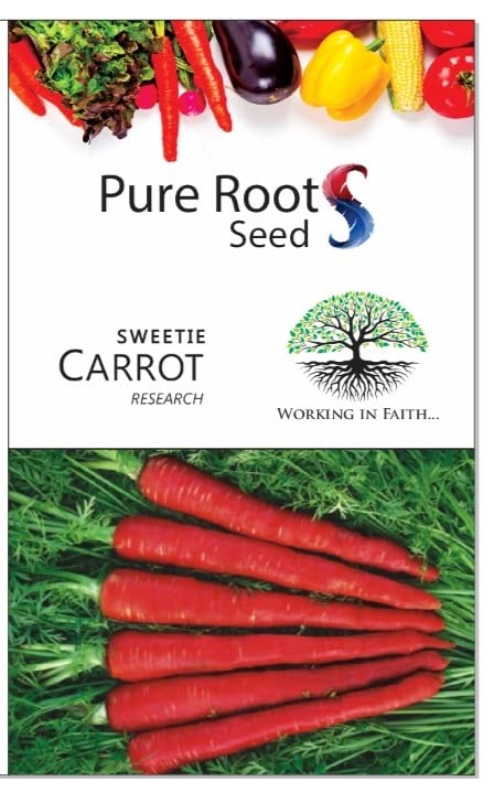 Pure Root Seed Sweetie Carrot (Research) Gajar Beej Vegetable Seeds ...
