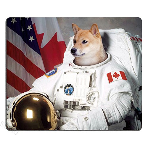 Doge Meme Astronaut