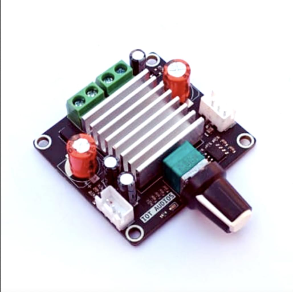 IOTaudios 100W Subwoofer Amplifier Board Home Theater Mini Amp Audio ...