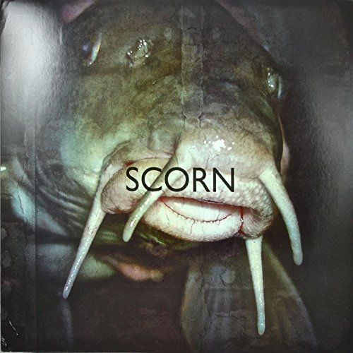 Play In the Margins by Scorn on Amazon Music