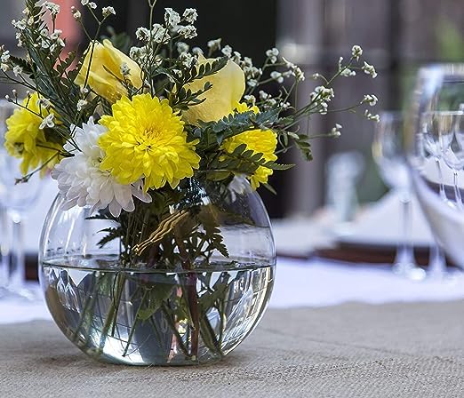 CAS Clear Glass Fish Bowls (Glass Bowl, 12 INCHES) : Amazon.in: Pet ...