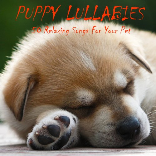 Play Puppy Lullabies: 50 Relaxing Songs for Your Pet by Piano Music ...