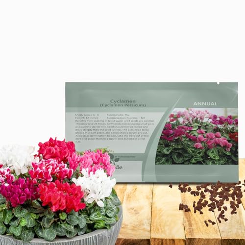 3 Amazing Health Benefits of Cyclamen Tuber & How to Use
