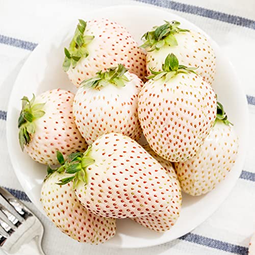 Sementi Fragole → Classifica dei Più Venduti Online nel 2025