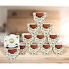 Amazon.com: BUZZY Seeds Daydream Mini Terracotta Pots 12-Pack with ...