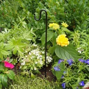 Amazon.com : Fairy Garden"Miniature Metal Shepherd's Hook INCLUDES Rustic Lantern : Decorative ...