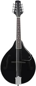 Amazon.com: TSTS Mandolin Instrument Kit A-Style 8-String Basswood ...