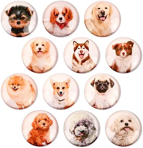 Amazon.com: KUHPLOVE Adorable Puppy Fridge Magnet Set Cute Dog Shaped ...