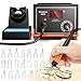 Preciva Pirografo per Legno con Display Digitale Temperatura 250-700°C ...