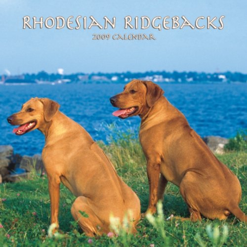Rhodesian Ridgebacks 2009 Square Wall Calendar: 9781421637648: Amazon ...