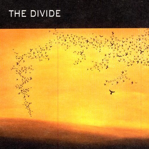 Amazon.com: Divide: CDs & Vinyl