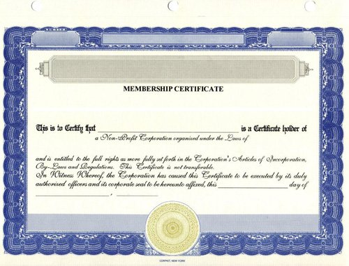 Amazon.com : 100 Blue CorpKit Standard Wording Not for Profit ...