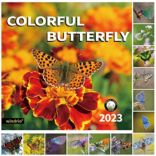 Top 25 Best Butterfly Calendars 2023 - CalendarBuy.com