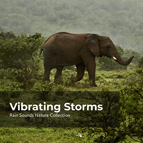 Play Vibrating Storms by Rain Sounds Nature Collection, ASMR Rain ...