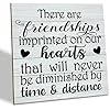 Amazon.com: Friendship Wood Sign, There are Friendships Imprinted on ...