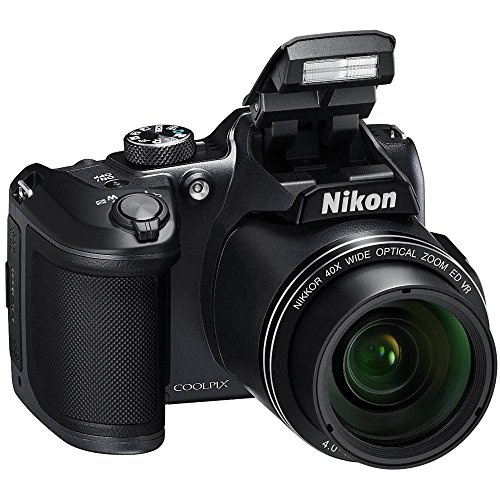 The 29 Best CCD Digital Cameras of 2026 [Verified] - Cherry Picks