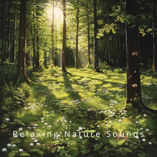 Tranquil Nature: Peaceful Soundscapes von Relaxing Nature Sounds bei ...