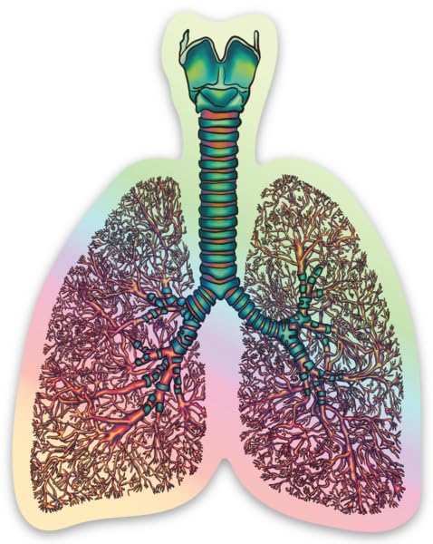 Amazon.com: Anatomical Lung Sticker with Bronchial Tree, Holographic ...
