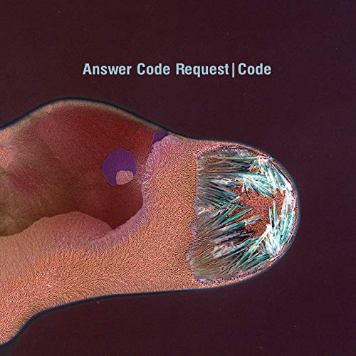 Amazon.com: Code : Answer Code Request: Digital Music