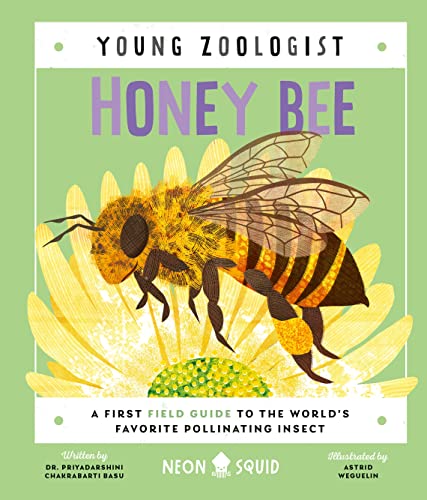 Honey Bee (Young Zoologist): A First Field Guide to the World's ...