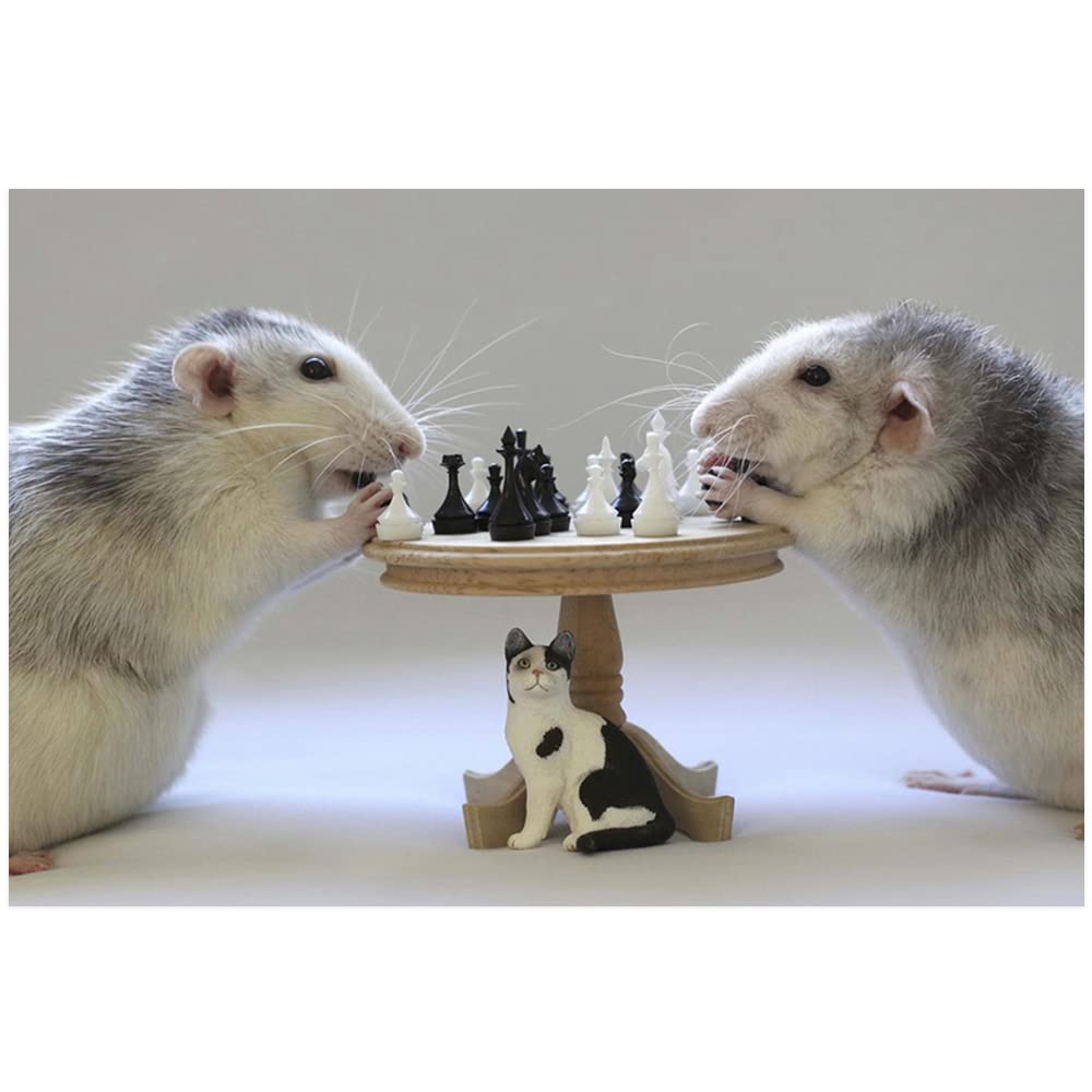 White Mouse Memes