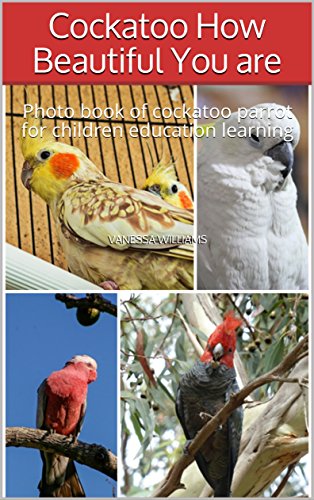 Cockatoo How Beautiful You are: Photo book of cockatoo parrot for ...
