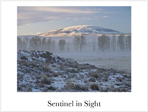 Sentinel in Sight: Michael C. Rael: 9780615784359: Amazon.com: Books
