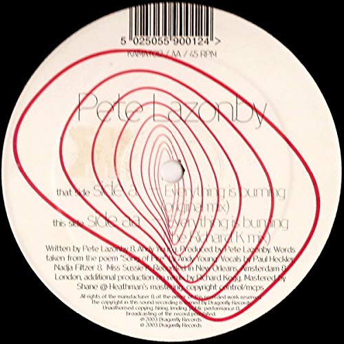 Everything Is Burning [Vinyl Single]: Amazon.de: Musik-CDs & Vinyl