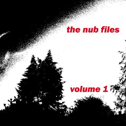 Amazon.com: The Nub Files Volume 1 : VARIOUS ARTISTS: Digital Music