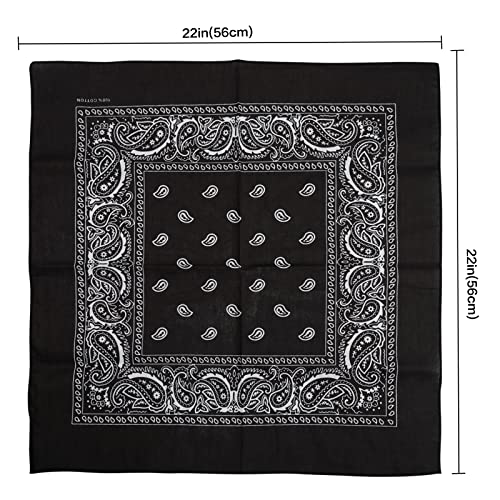 Buy Raylarnia Novelty Bandanas Paisley Cotton Bandanas-Black at Amazon.in